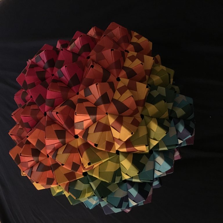 Modular origami – Polypompholyx