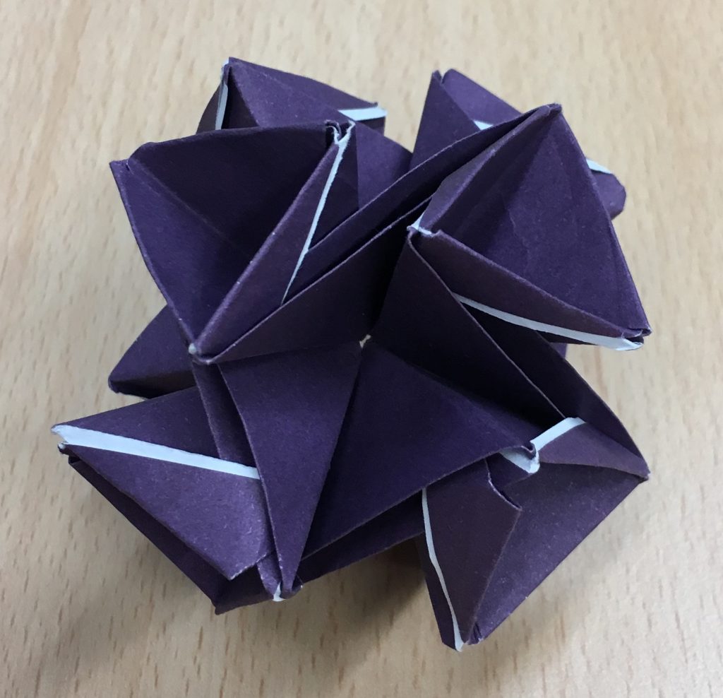 Modular origami – Polypompholyx