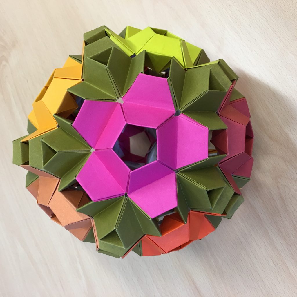 Modular origami – Polypompholyx
