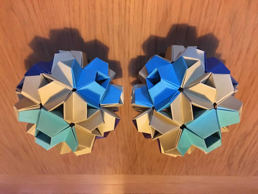 Modular origami – Polypompholyx