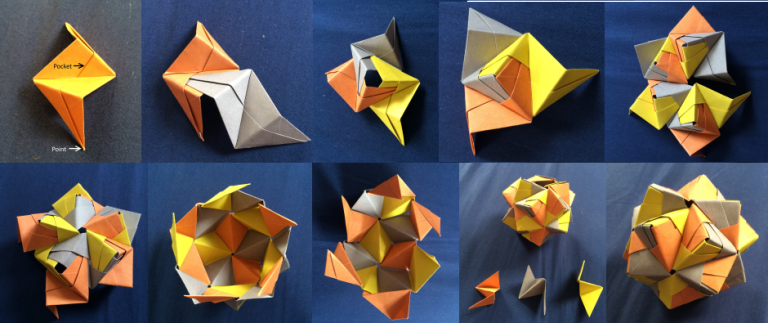 Modular origami – Polypompholyx